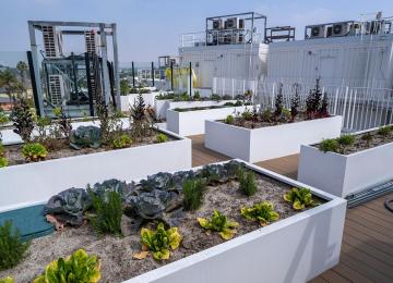 Isla Intersections | Urbanize Toronto